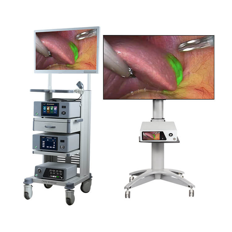 The Clinical Power and Evolving Technology of Modern Endoscopy - 233 ...